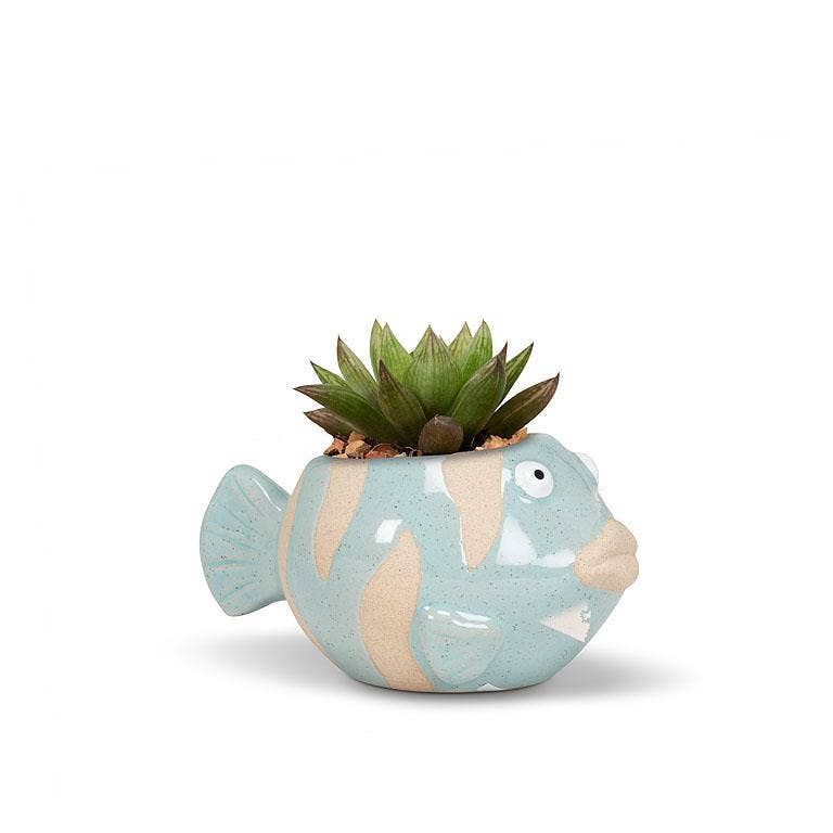 Fish Planter – Hattie & Elsie